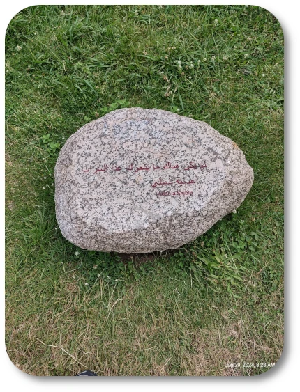 Contemplative Arts: Creative Reflection & Insight